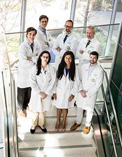 Vascular Surgery | USF Health