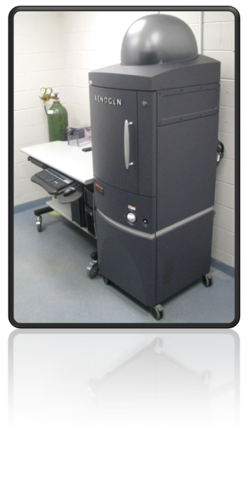 Xenogen IVIS Spectrum | USF Health