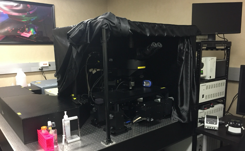 Olympus FVMPE-RS Multiphoton Excitation Microscope | USF Health