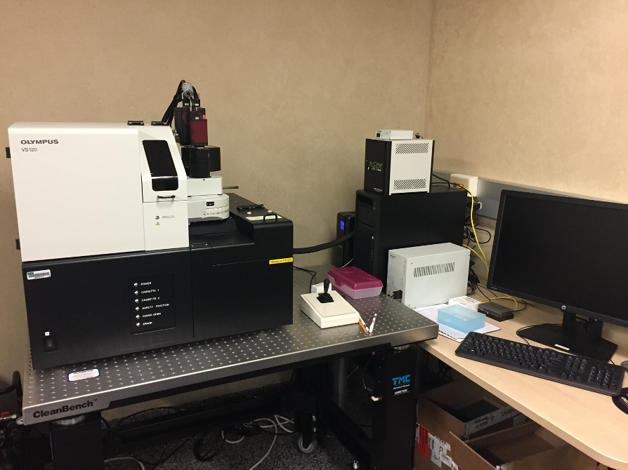 Olympus VS120 Slide Scanning System | USF Health