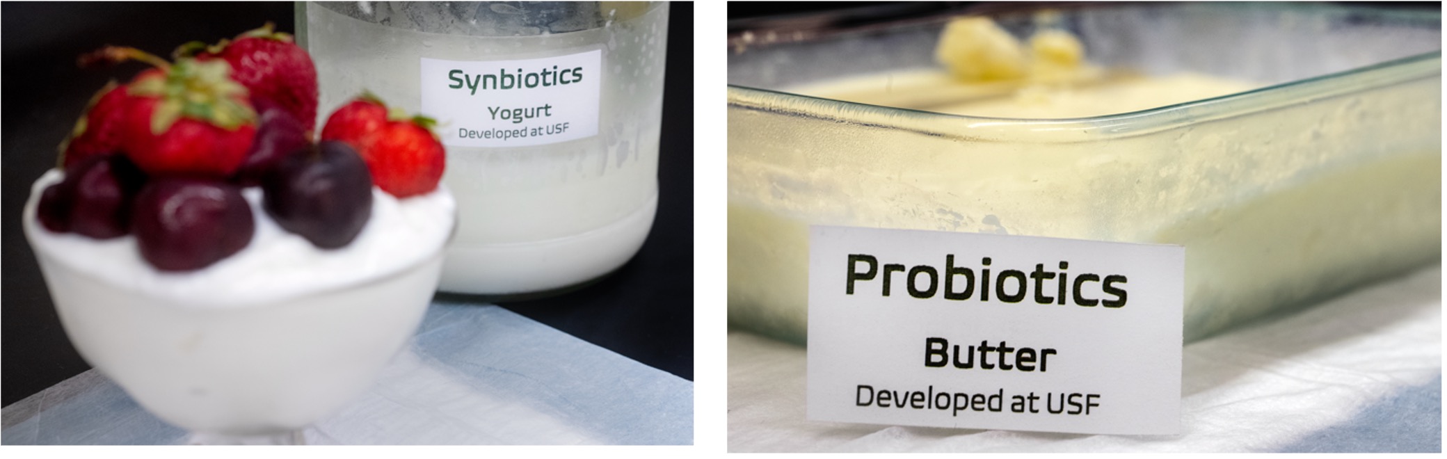 Research | USF Health