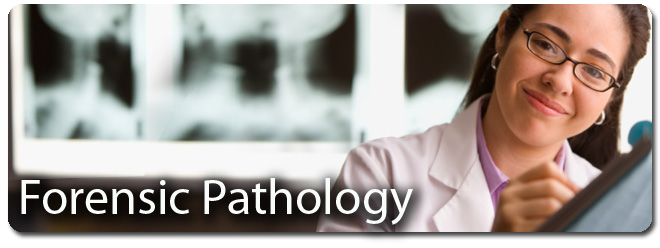 Forensic Pathology | USF Health