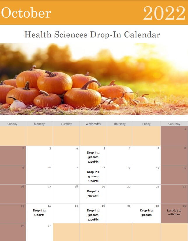 Student Advising | College of Public Health | USF Health