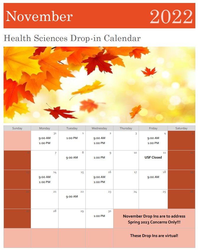 Student Advising | College of Public Health | USF Health